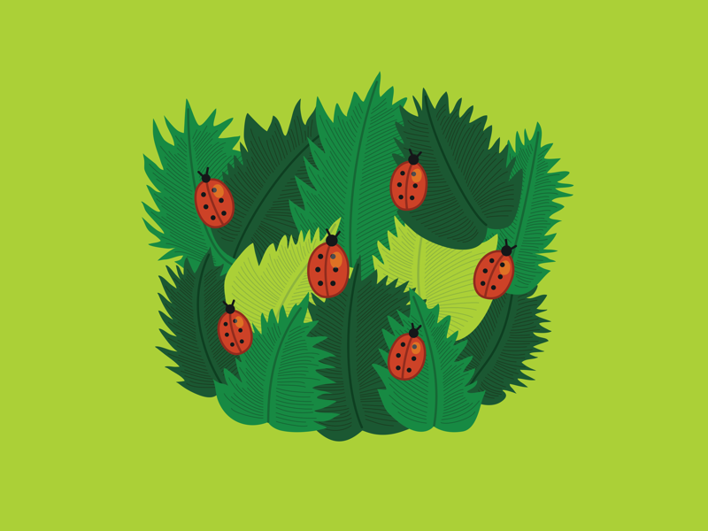 Spring leaves and ladybugs illustration – Cute Strange Creatures